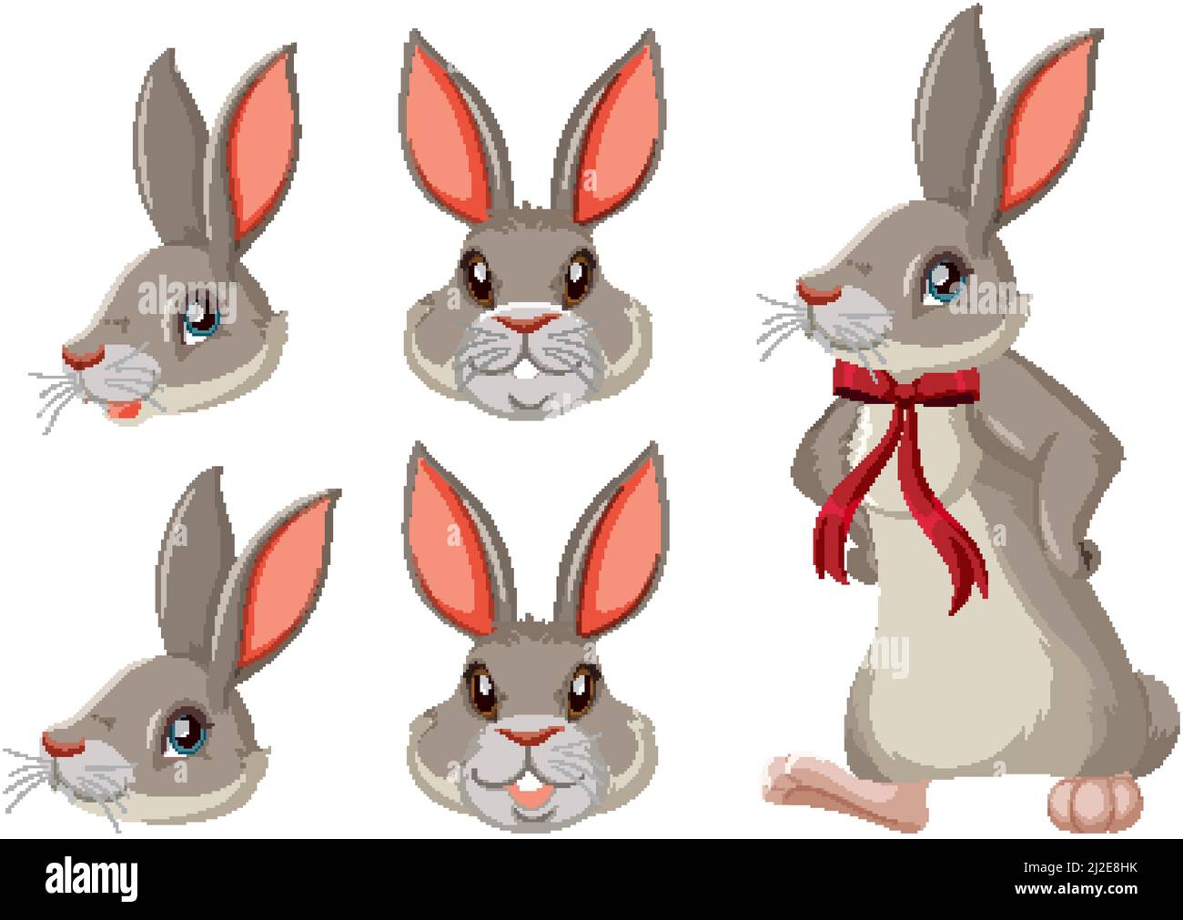 Animals background red bunny domestic Stock Vector Images - Alamy