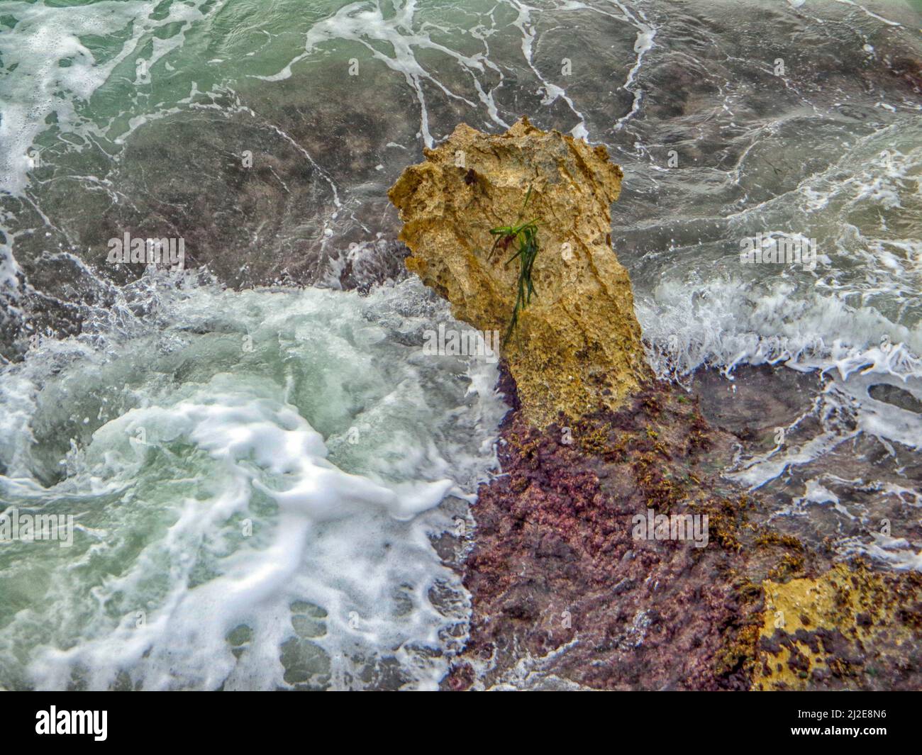 Semi-abstract intimate natural patterns of sea swirling around ...