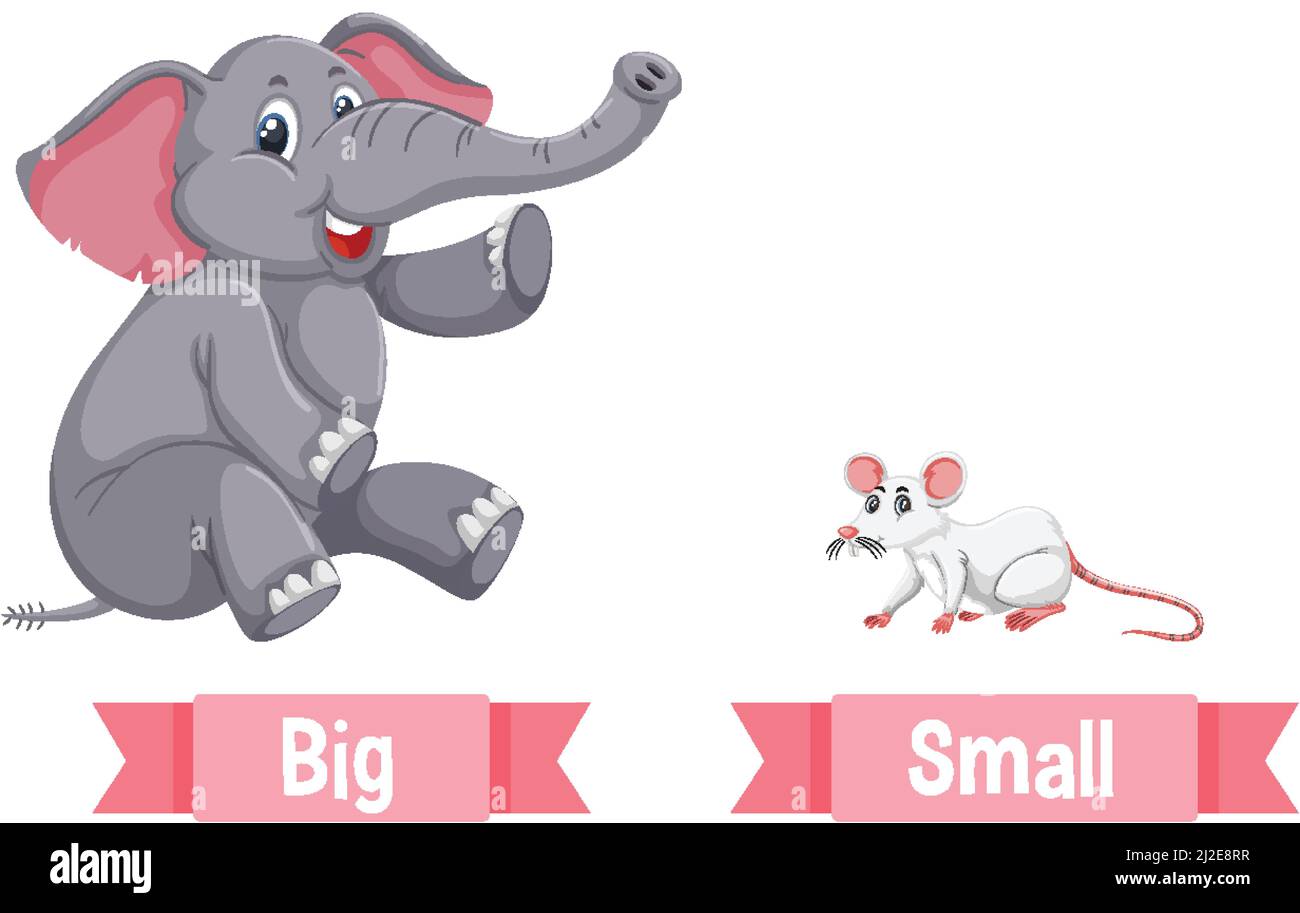 Opposite English Words big and small illustration Stock Vector Image ...