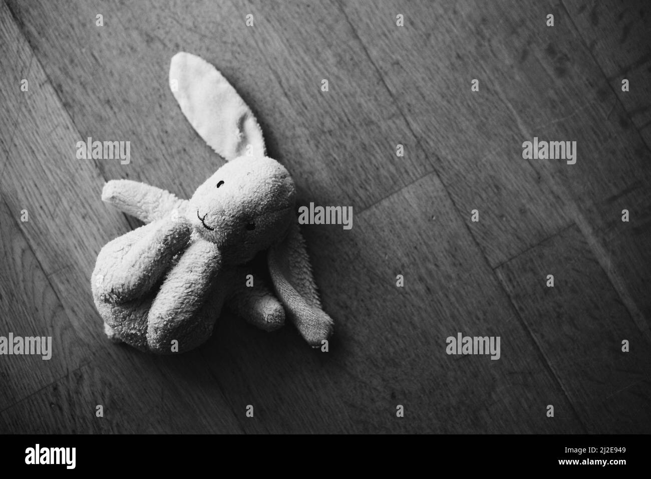 A top view of a white stuffed rabbit toy lying on the floor indoors ...