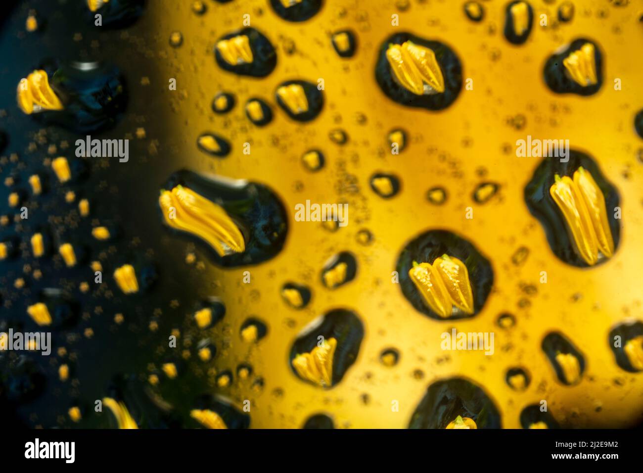 Creative food still-life of fun sized peppers reflected in colourful ...