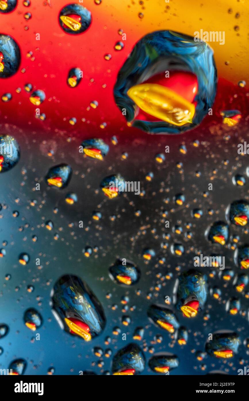 Creative food still-life of fun sized peppers reflected in colourful ...