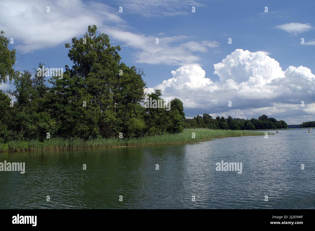 Poland, Polen, Polska, A typical lake landscape in the Augustów region ...