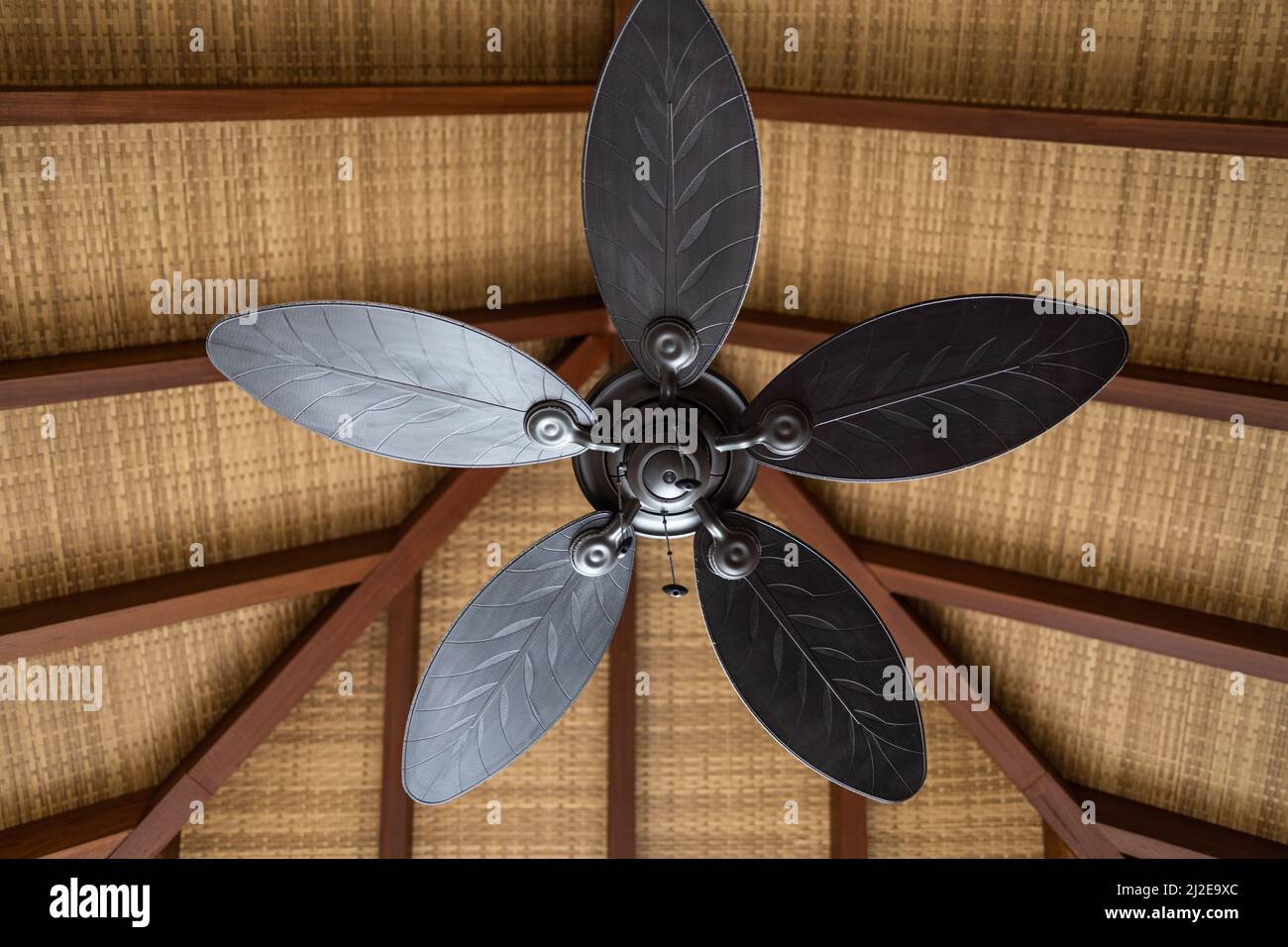 Ceiling fan on a rustic cabin Stock Photo - Alamy