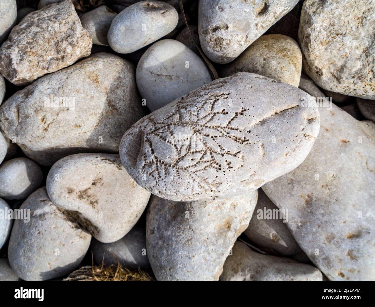 Random patterns in nature, small beach pebbles on the Costa Blanca ...
