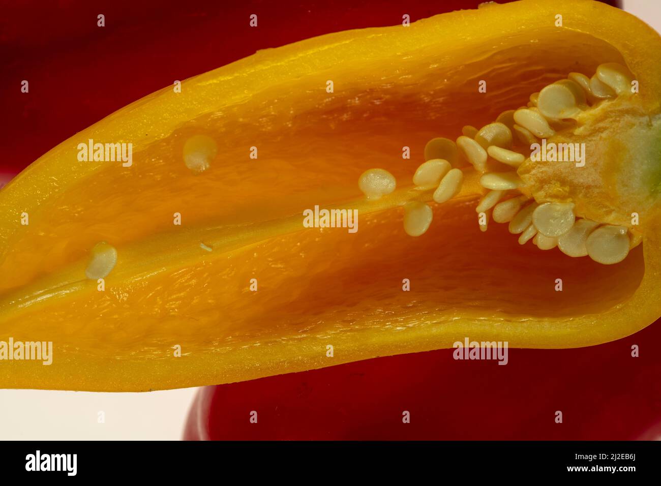 Macro food still life of colourful fun sized (Capsicum annuum) peppers ...