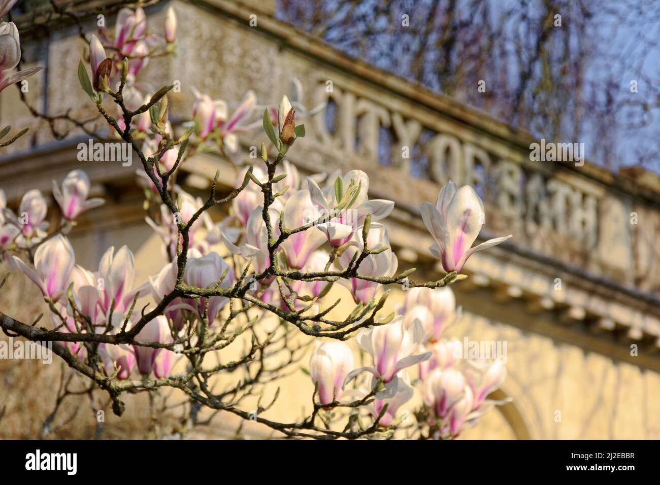 Spring in Bath Stock Photo - Alamy