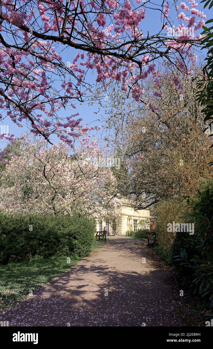 Spring in Bath Stock Photo - Alamy