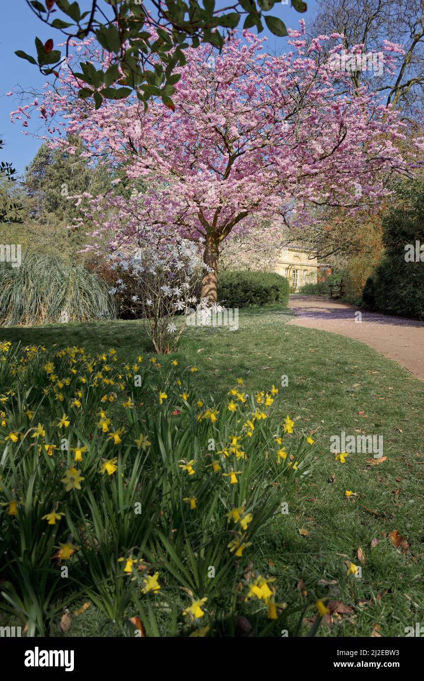 Spring in Bath Stock Photo - Alamy