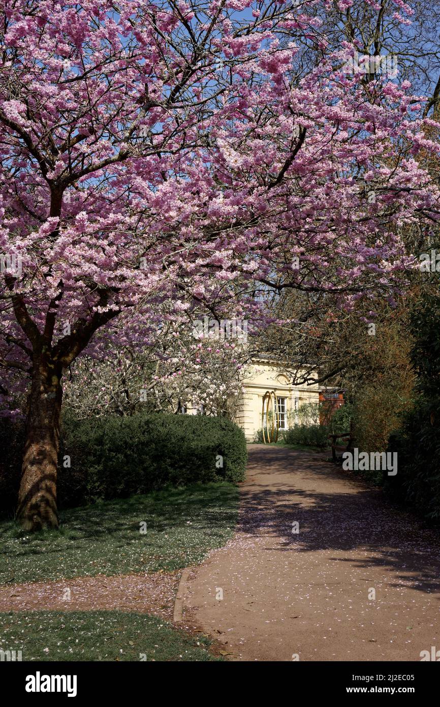 Spring in Bath Stock Photo - Alamy