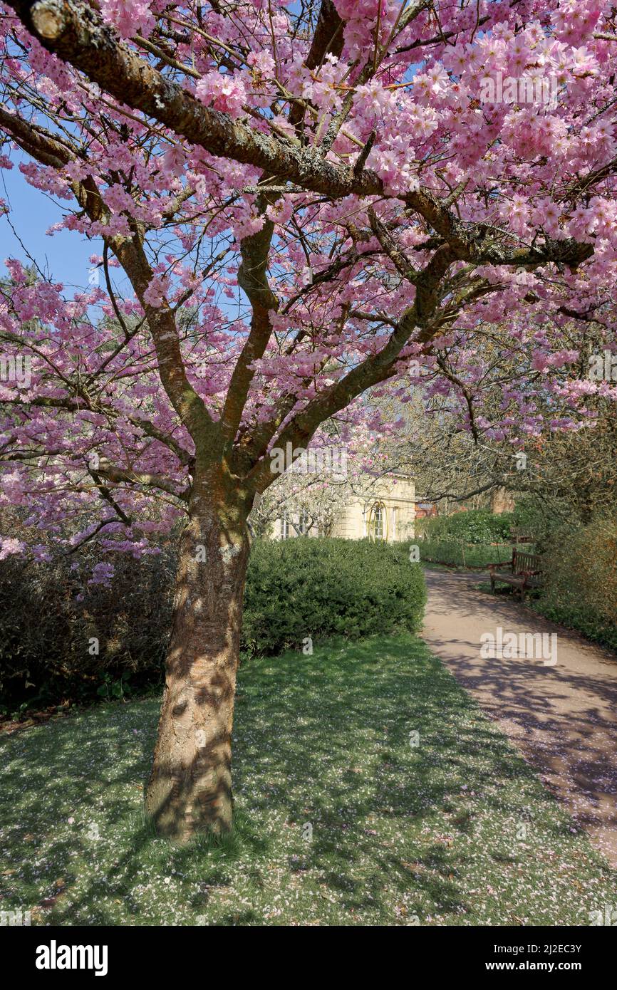 Spring in Bath Stock Photo - Alamy
