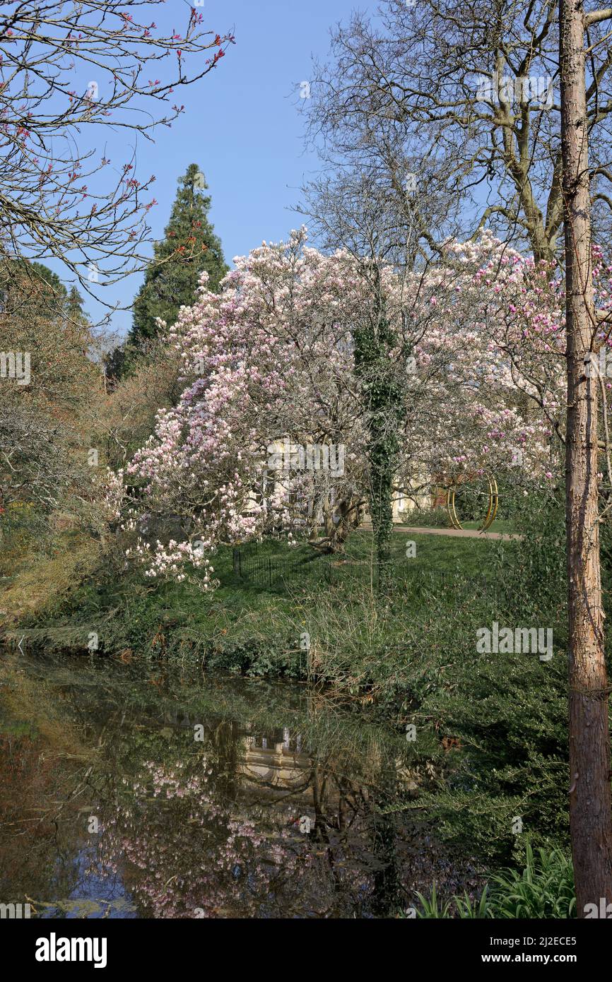 Spring in Bath Stock Photo - Alamy