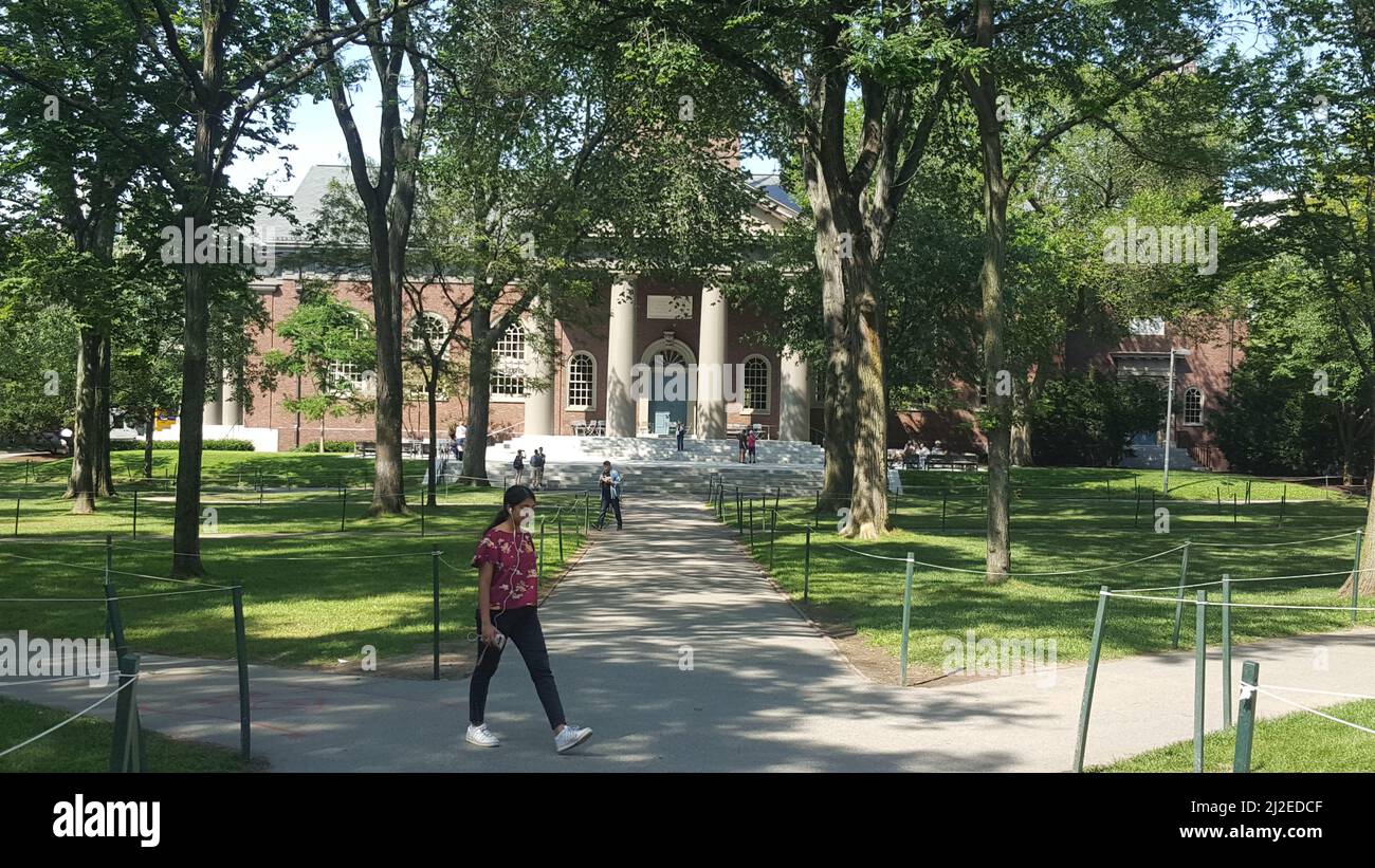 Harvard university building park hi-res stock photography and images ...