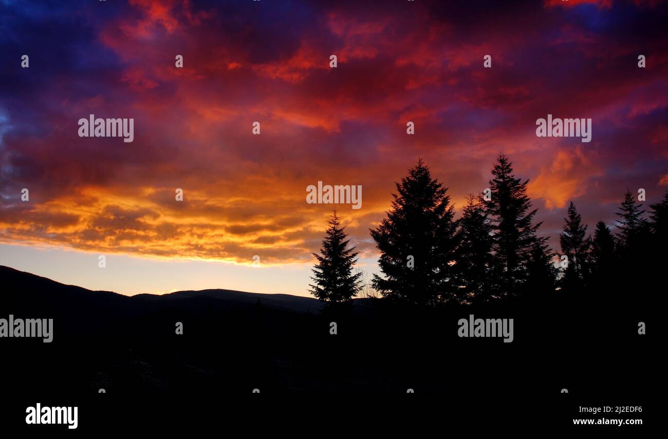 Beautiful morning sunny sky many hi-res stock photography and images ...