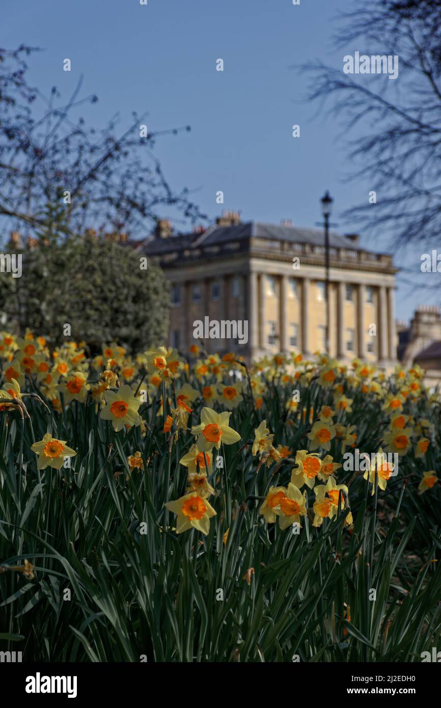 Spring in Bath Stock Photo - Alamy