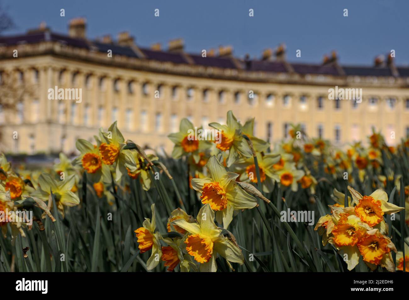 Spring in Bath Stock Photo - Alamy