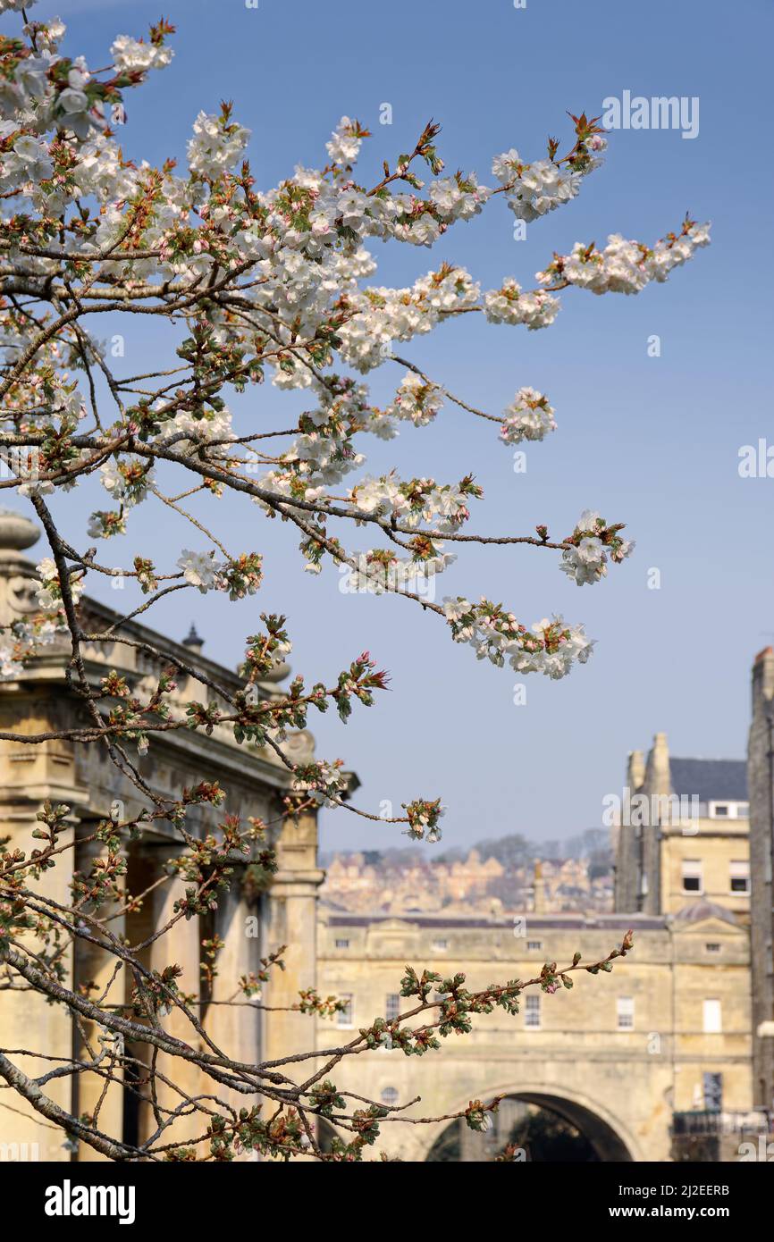 Spring in Bath Stock Photo - Alamy