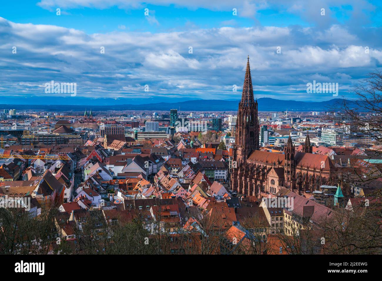 Germany, Freiburg im Breisgau city houses and muenster church at ...