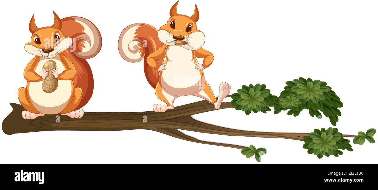 Squirrels On The Tree Branch Illustration Stock Vector Image And Art Alamy