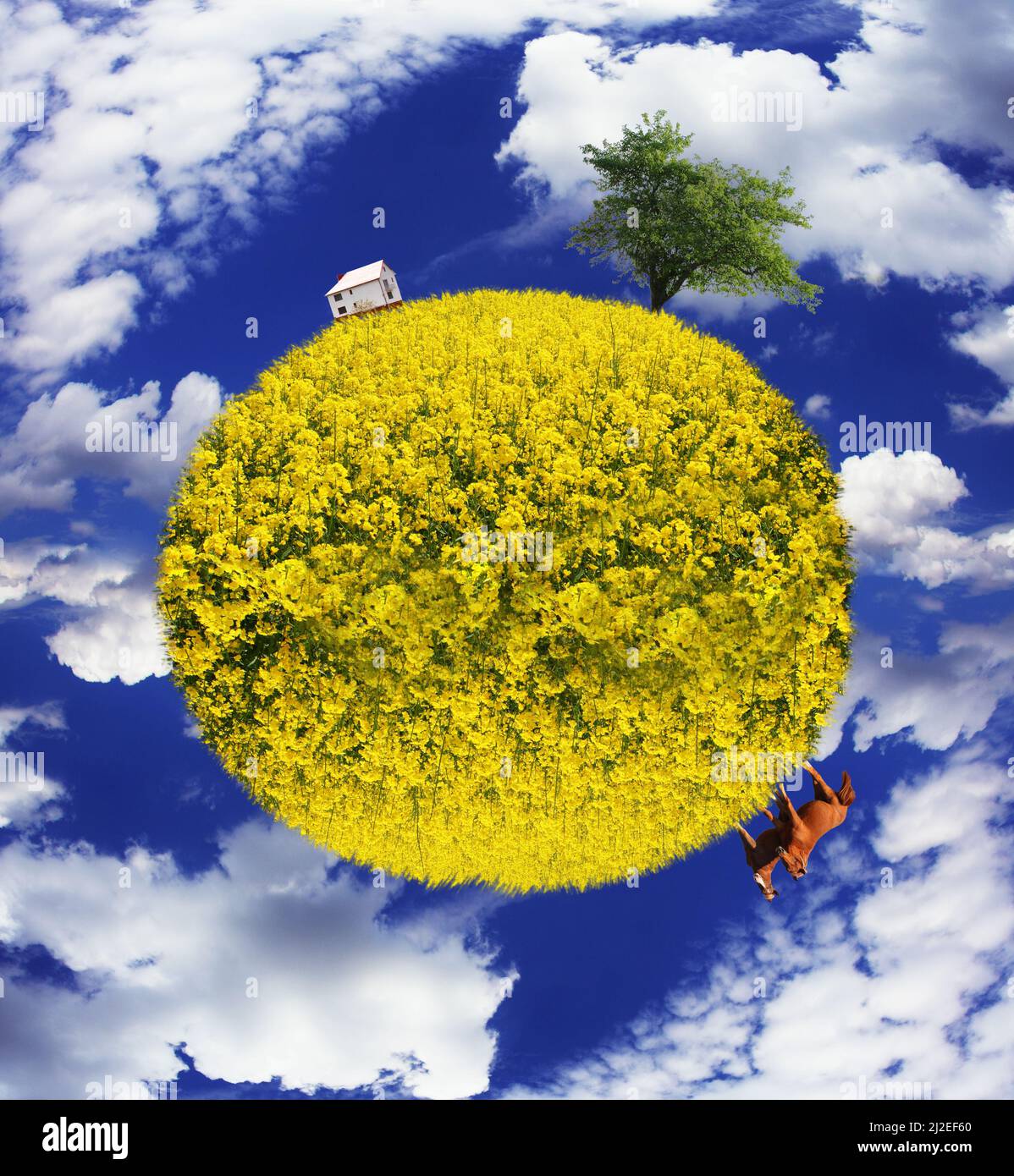 save the planet image composition with the earth and rural landscape ...