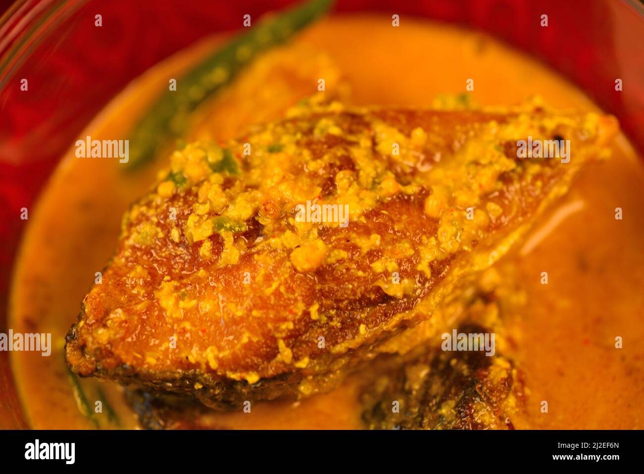 Hilsha fish photography hi-res stock photography and images - Alamy