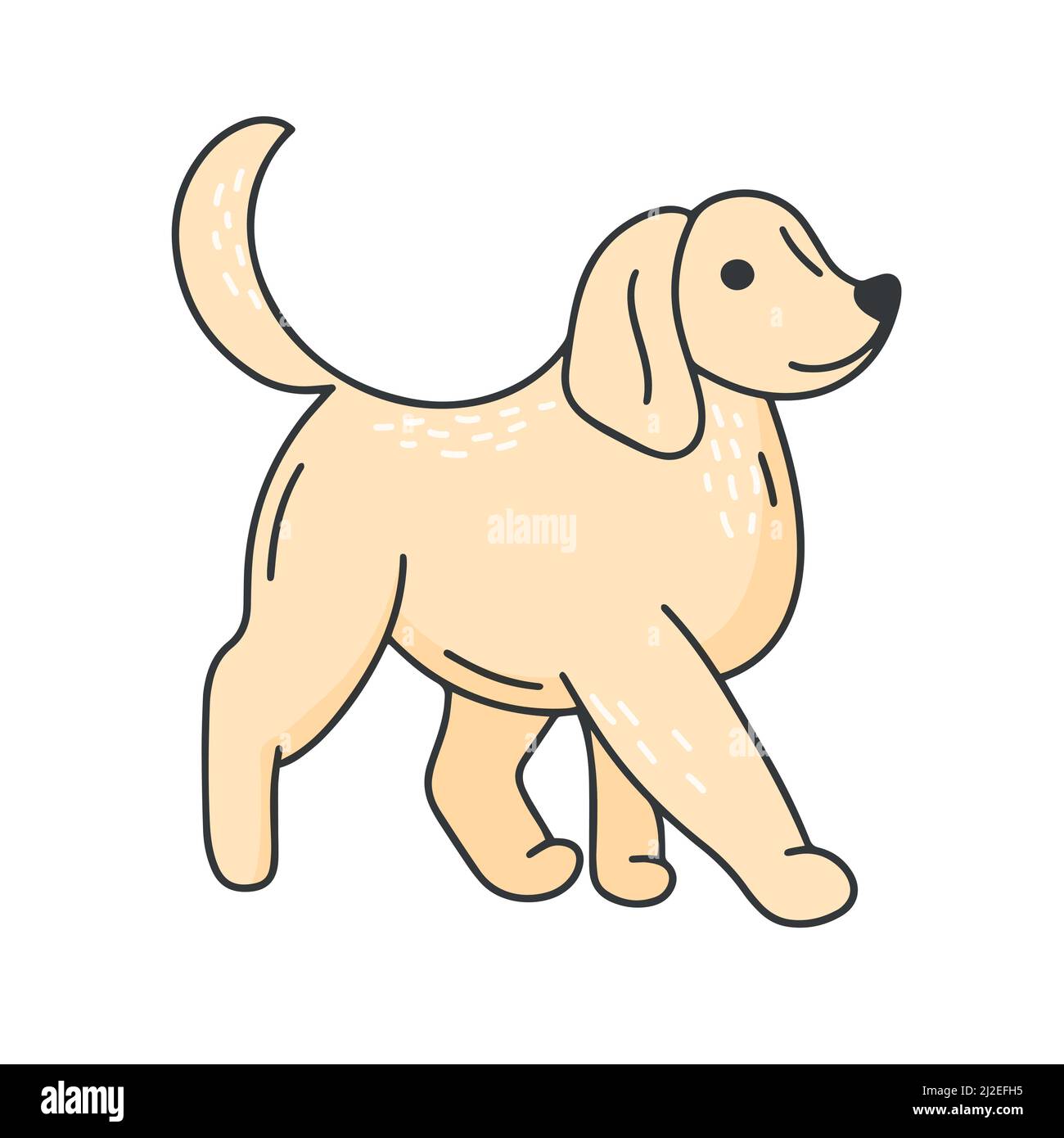 Dog isolated doodle style. Walking Labrador. Home pet icon. Animal hand ...