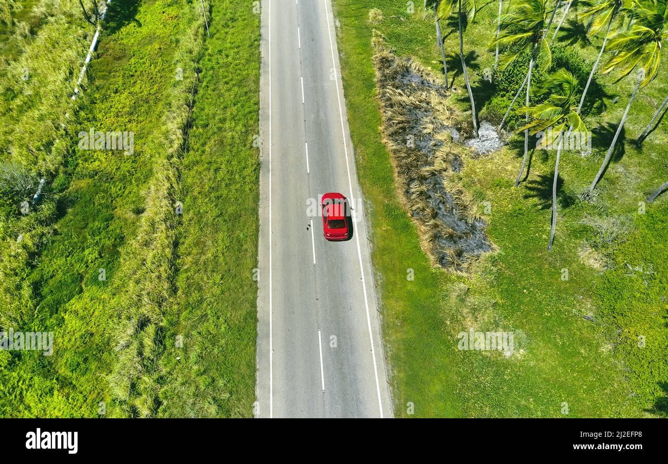 Beautiful Caribbean road with palm trees along the coast of Venezuela ...