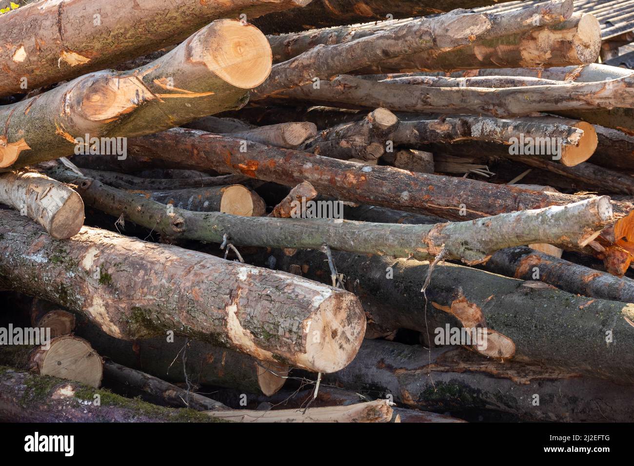 Pile of log trunks, logging timber forest wood industry Stock Photo - Alamy