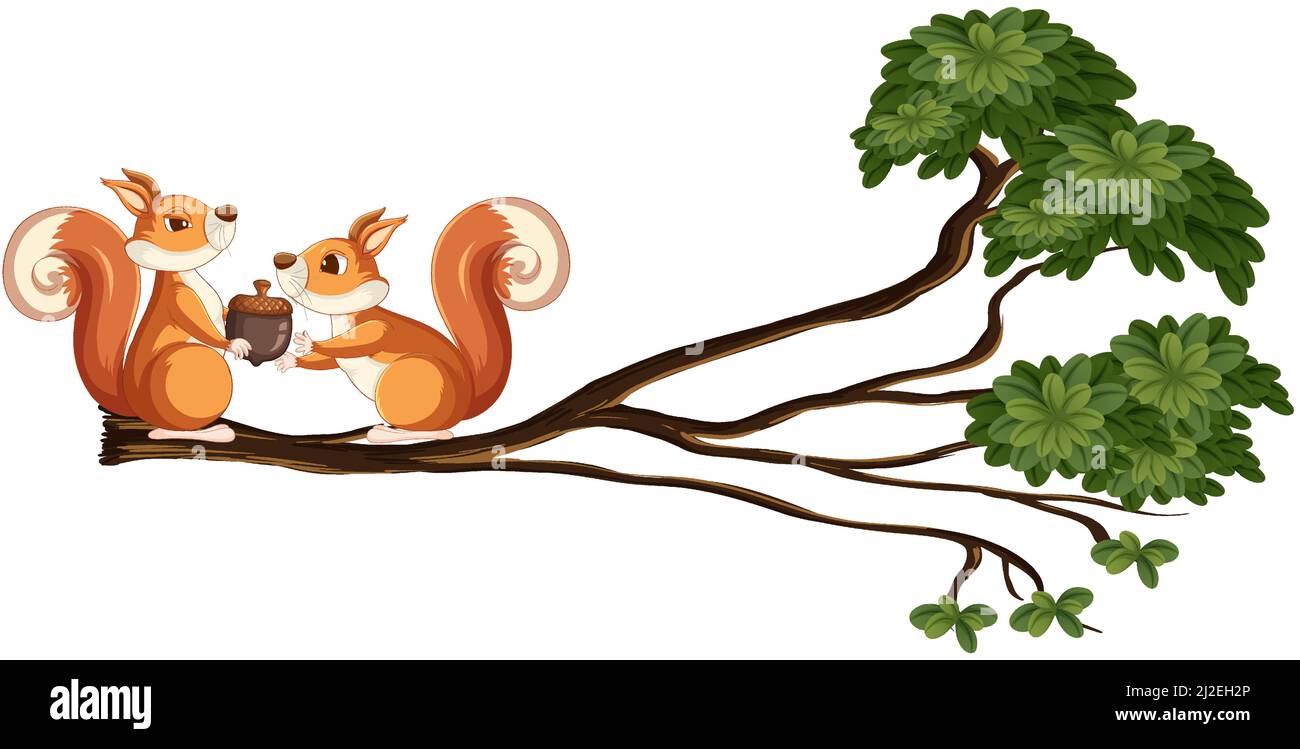 Squirrels On The Tree Branch Illustration Stock Vector Image And Art Alamy