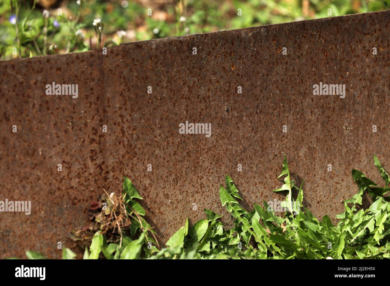 Corten steel metal rusted Stock Photo - Alamy