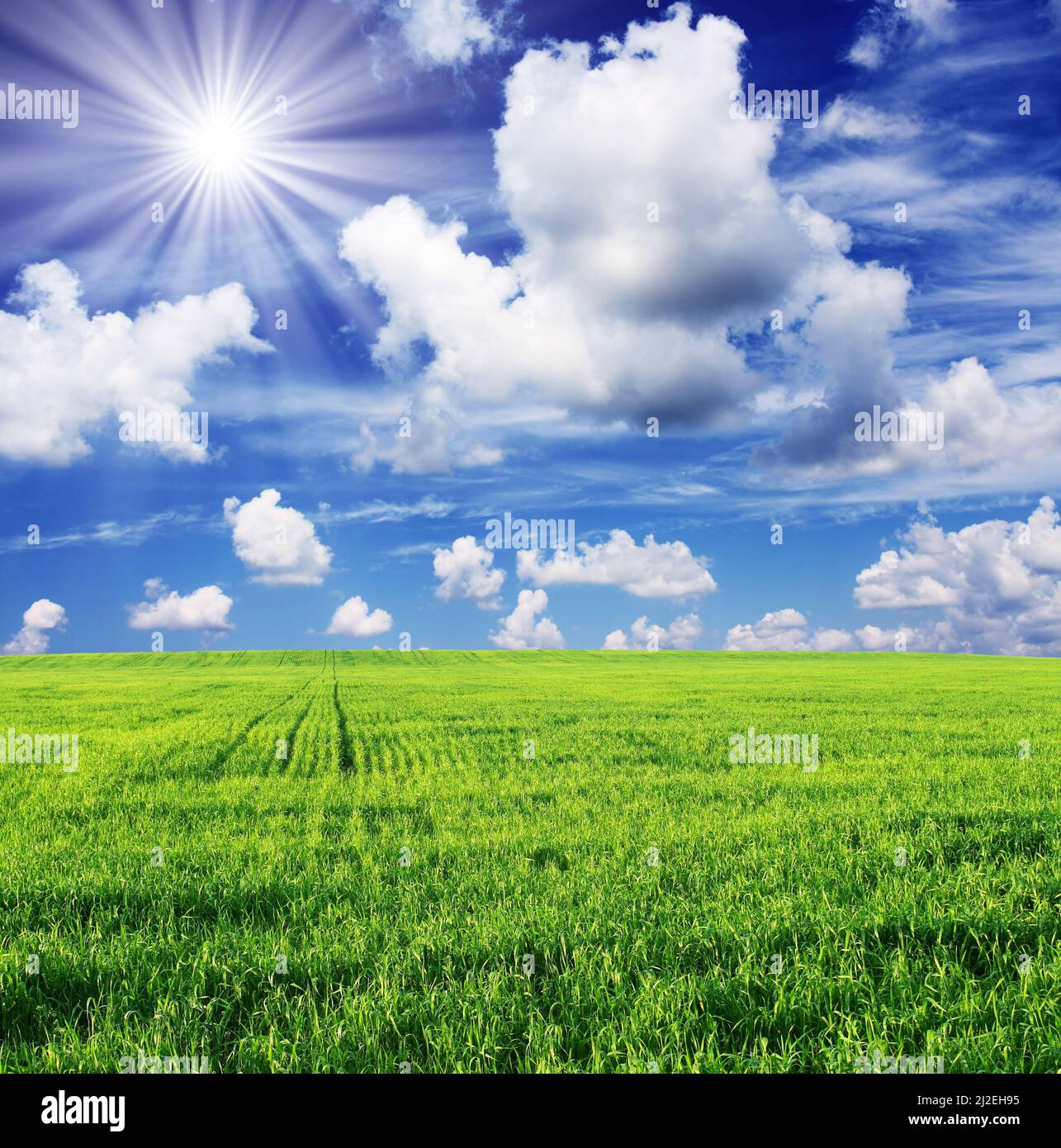 spring field and the beautiful blue sky Stock Photo - Alamy