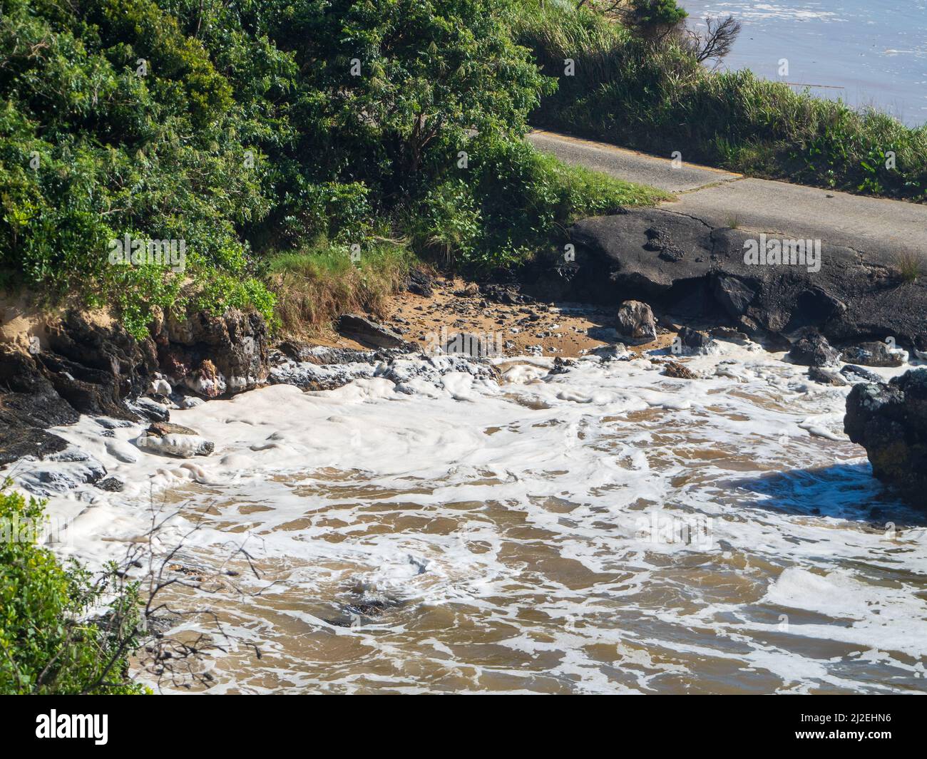High tide, sea water right up to the sand bank at the beach, Australia ...