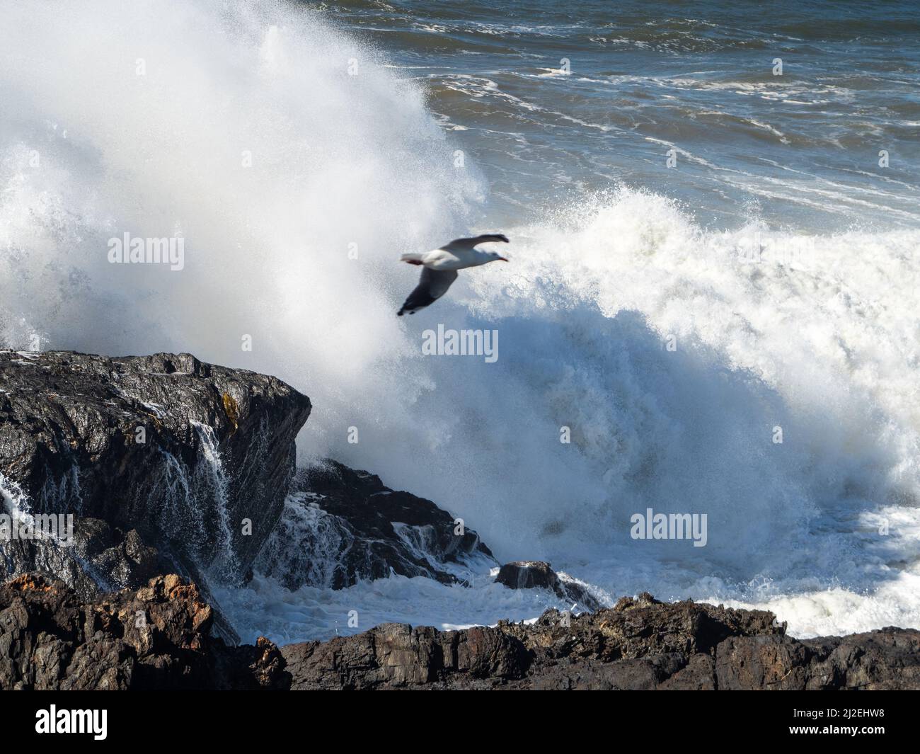 Wild sea waves crashing and splashing, water cascading over rocks, a ...