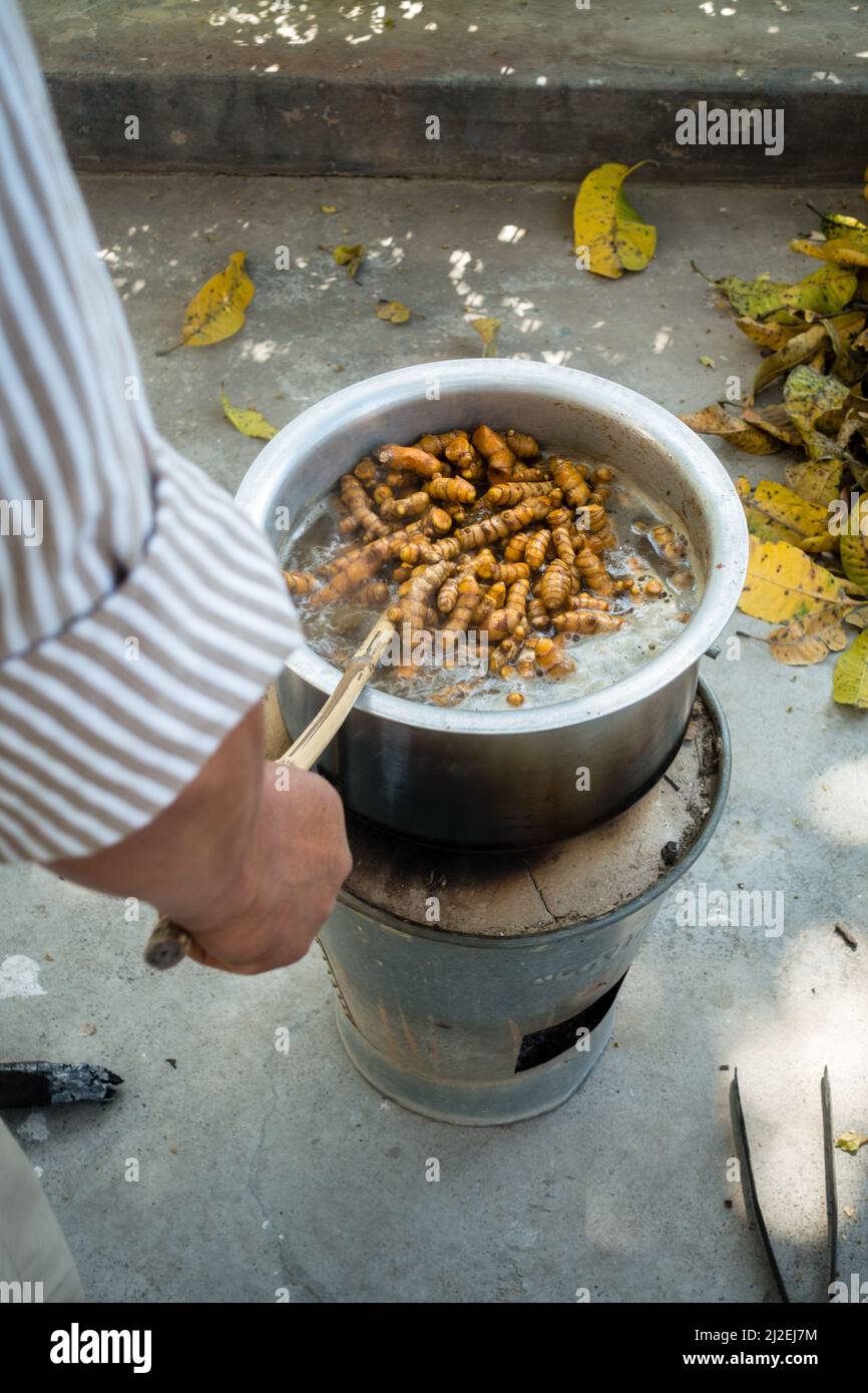 A close up shot of turmeric root being boiled in a big pot . Turmeric ...