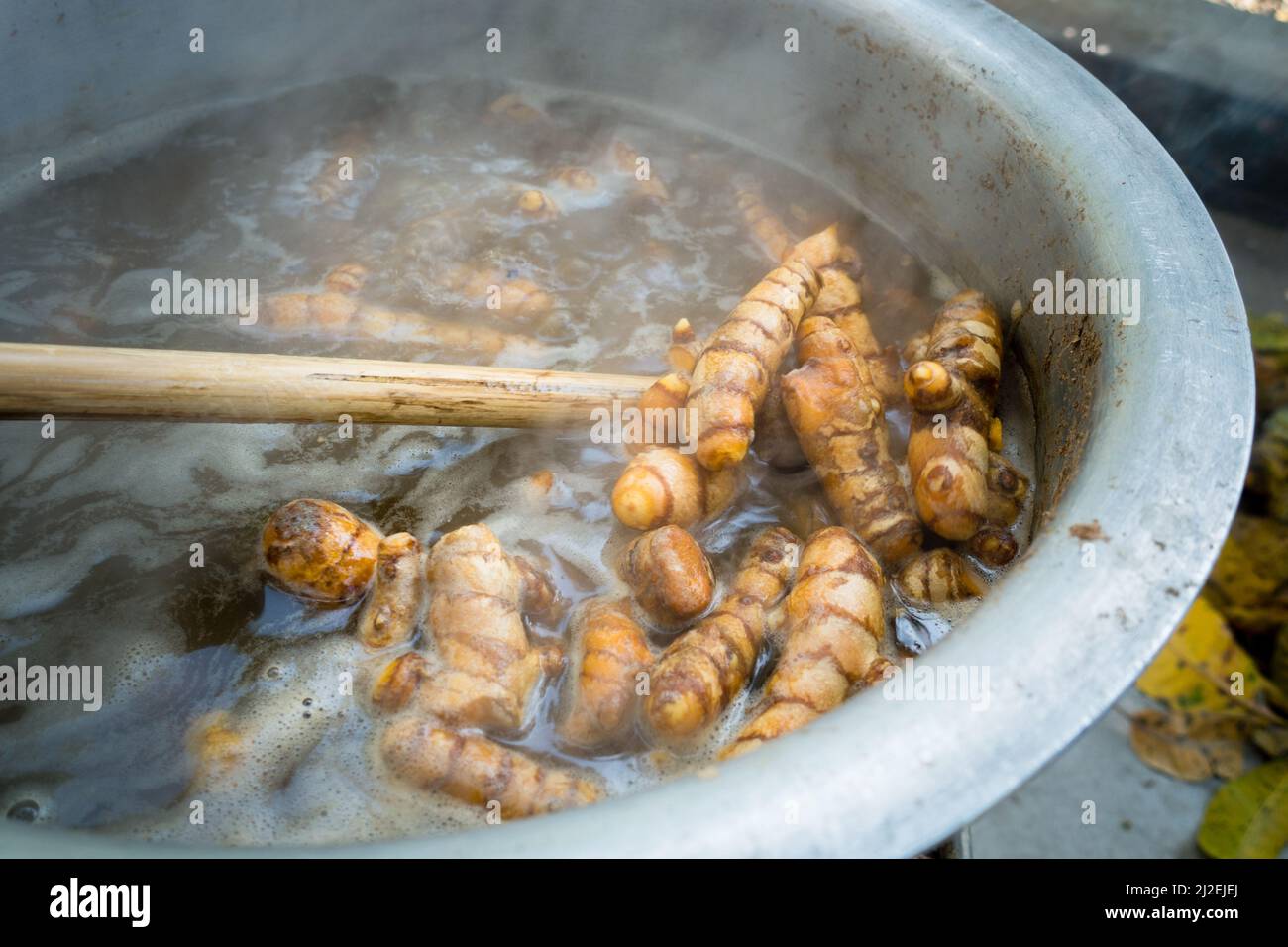 A close up shot of turmeric root being boiled in a big pot . Turmeric ...