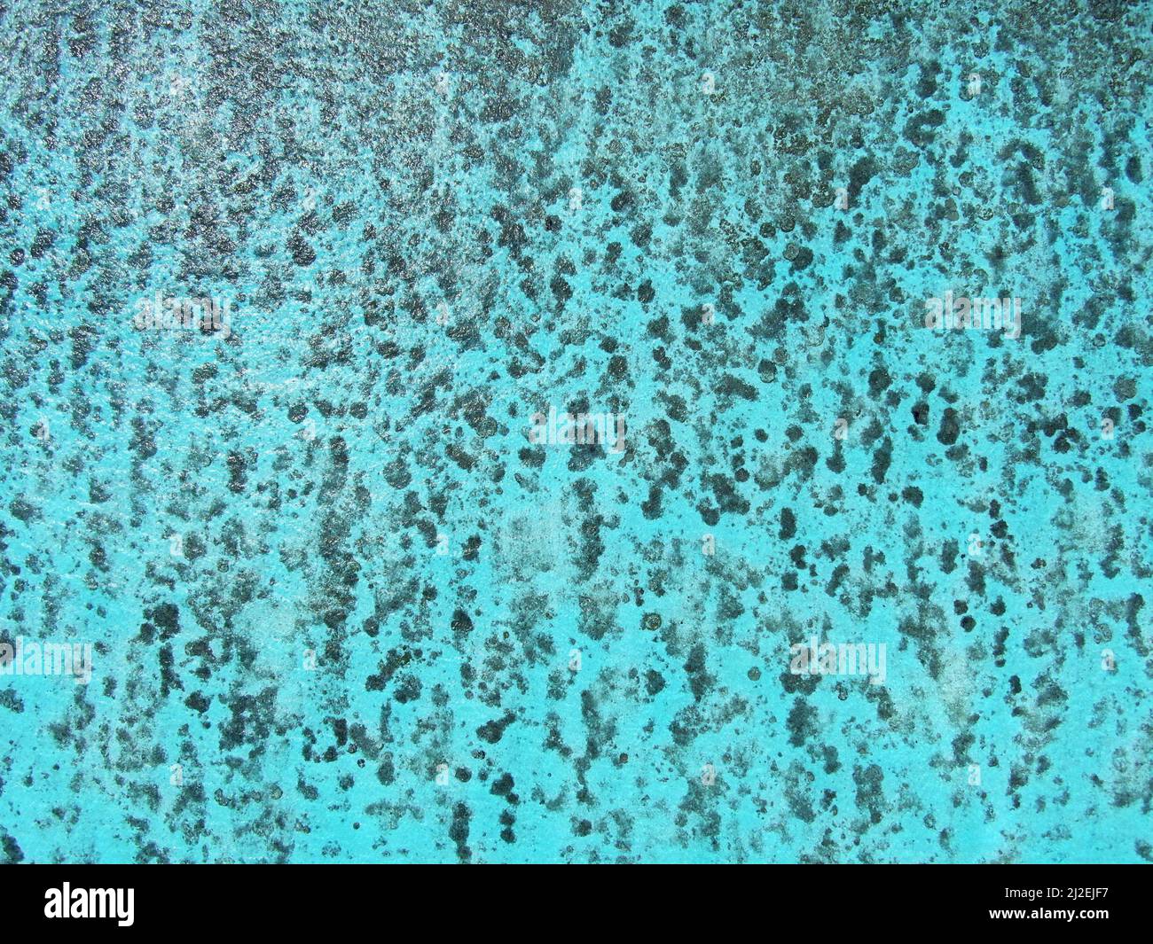 Reef texture hi-res stock photography and images - Alamy