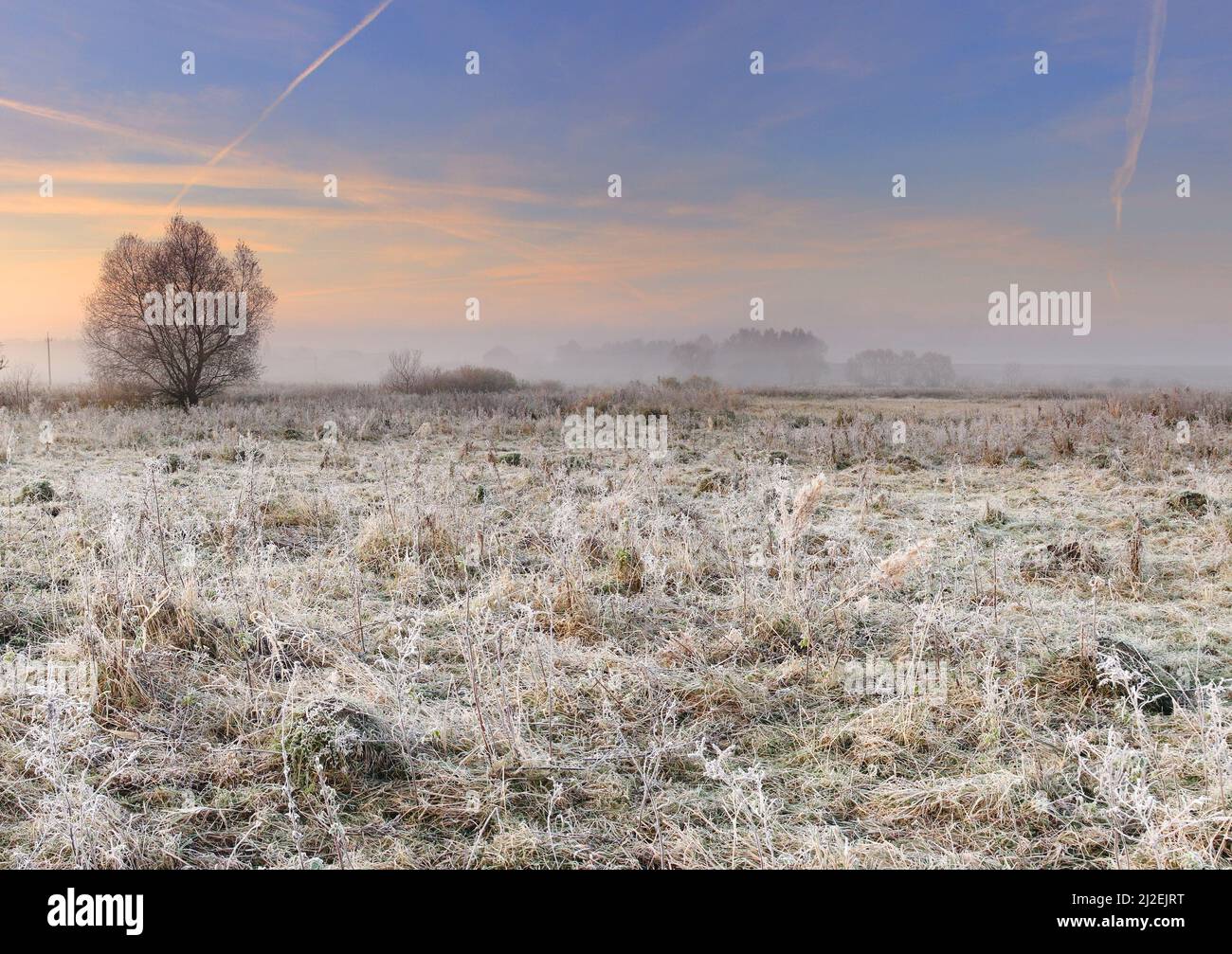 Frosted land hi-res stock photography and images - Alamy