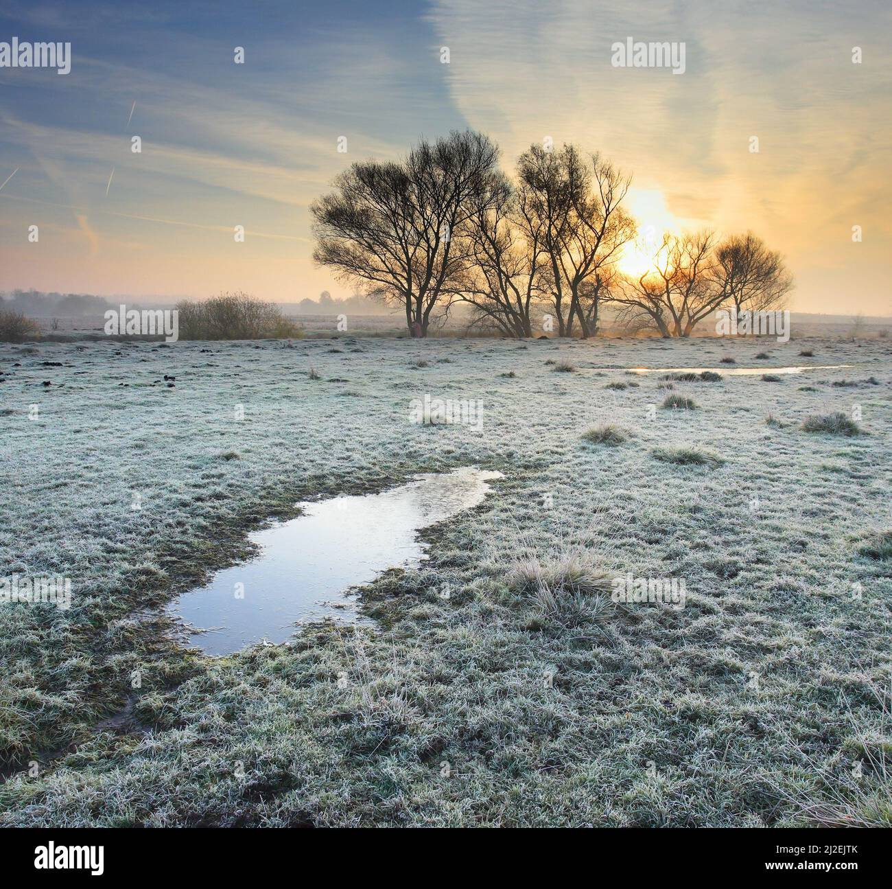 Frosted land hi-res stock photography and images - Alamy