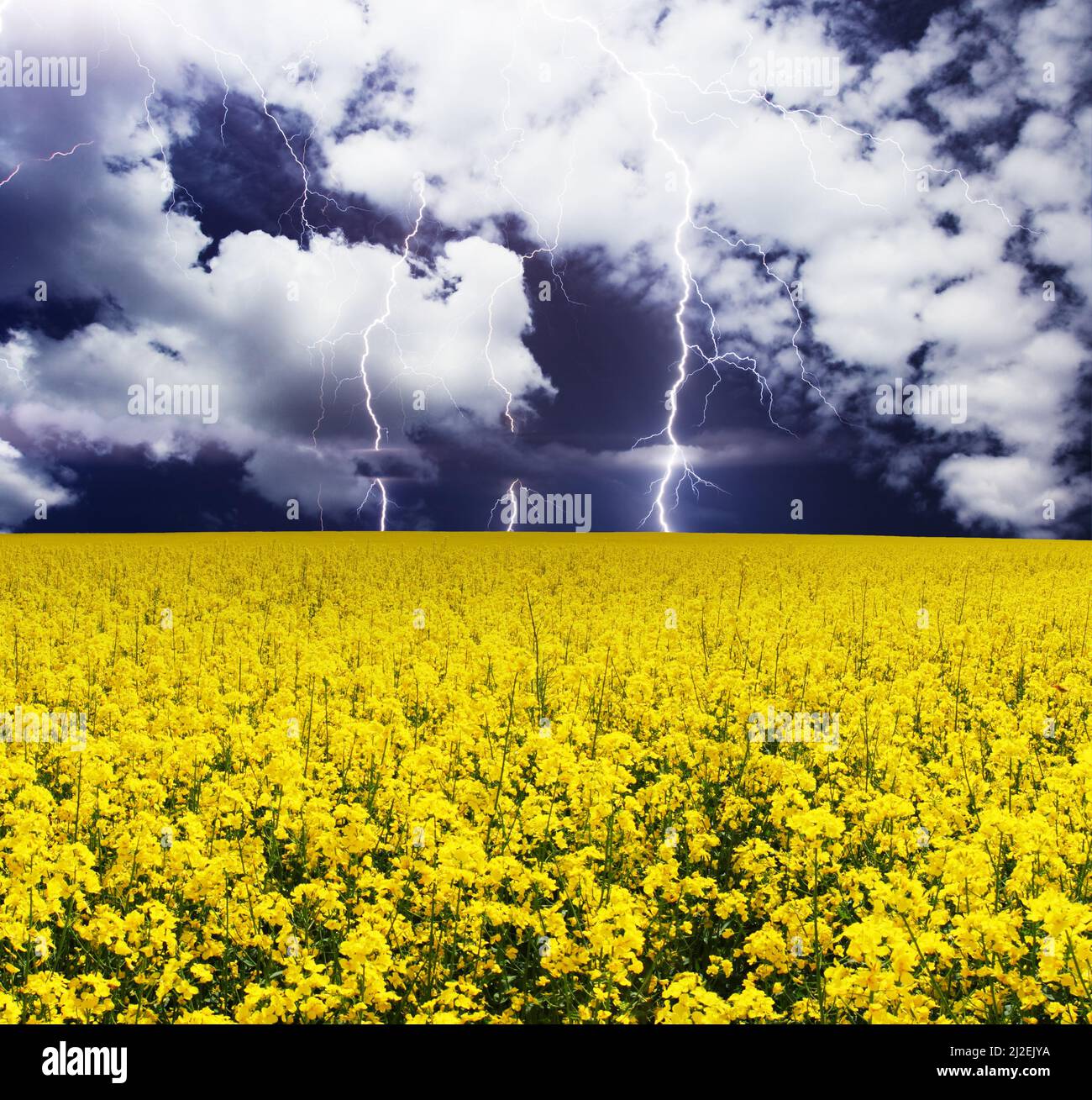 Lightning storm environment hi-res stock photography and images - Alamy