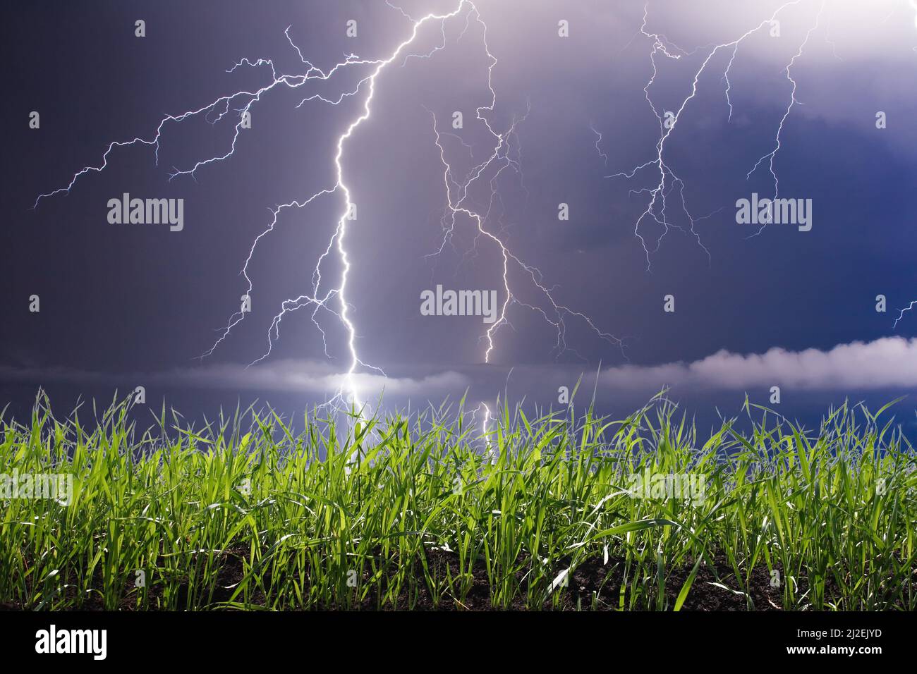 summer storm beginning with lightning Stock Photo - Alamy