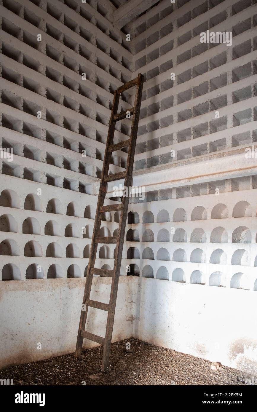 Interior of a Castilian pigeon loft, where you can see the holes for ...