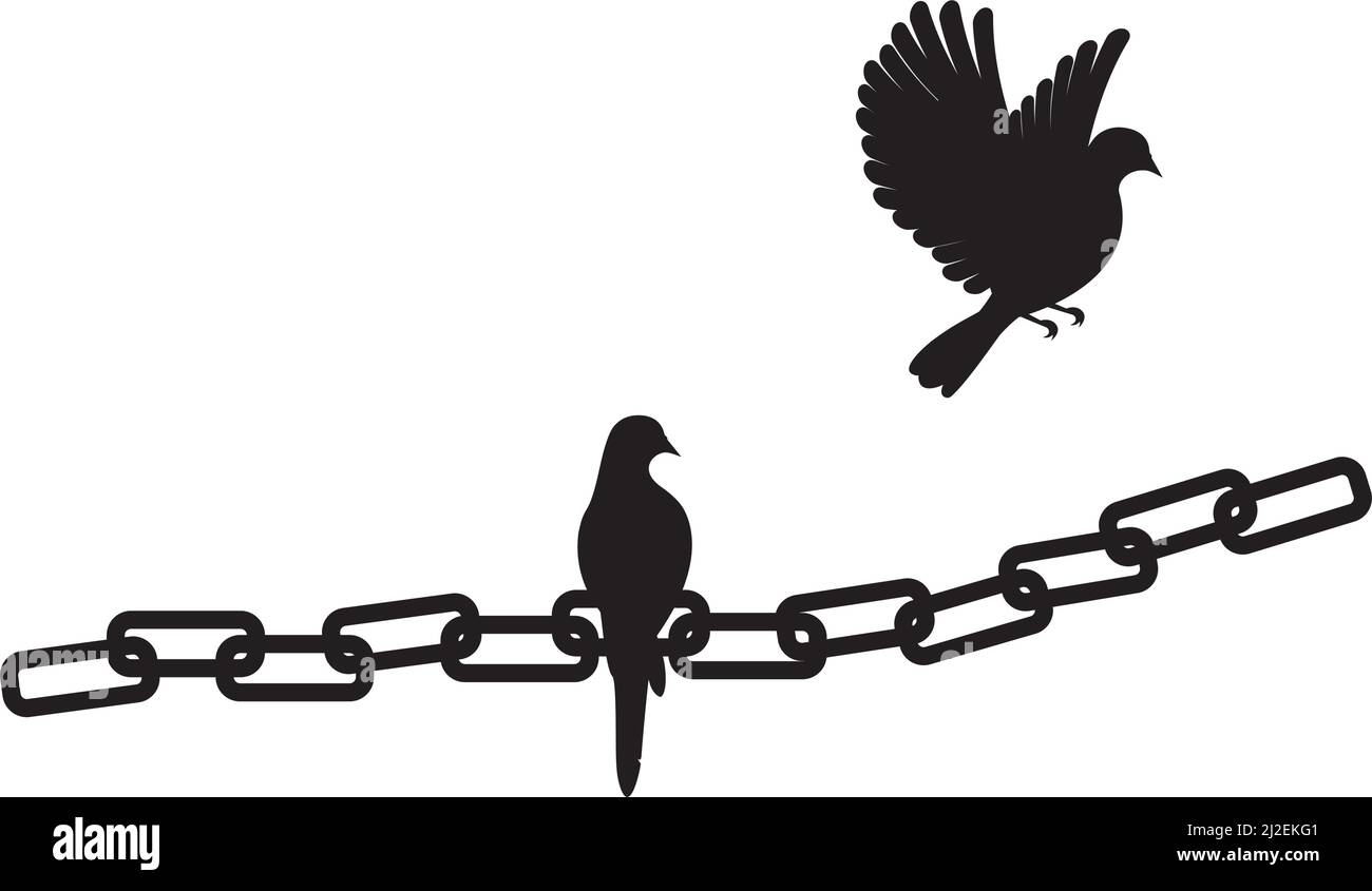 Flying bird silhouette and bird on chain isolated on white background ...