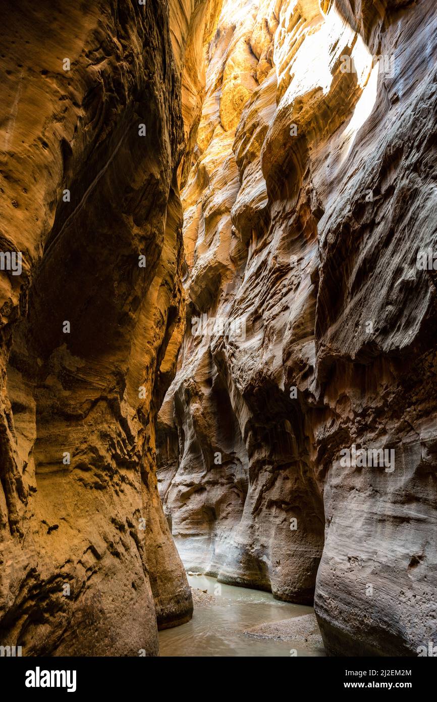A vertical shot of a narrow water stream between a scenic cliff in The ...