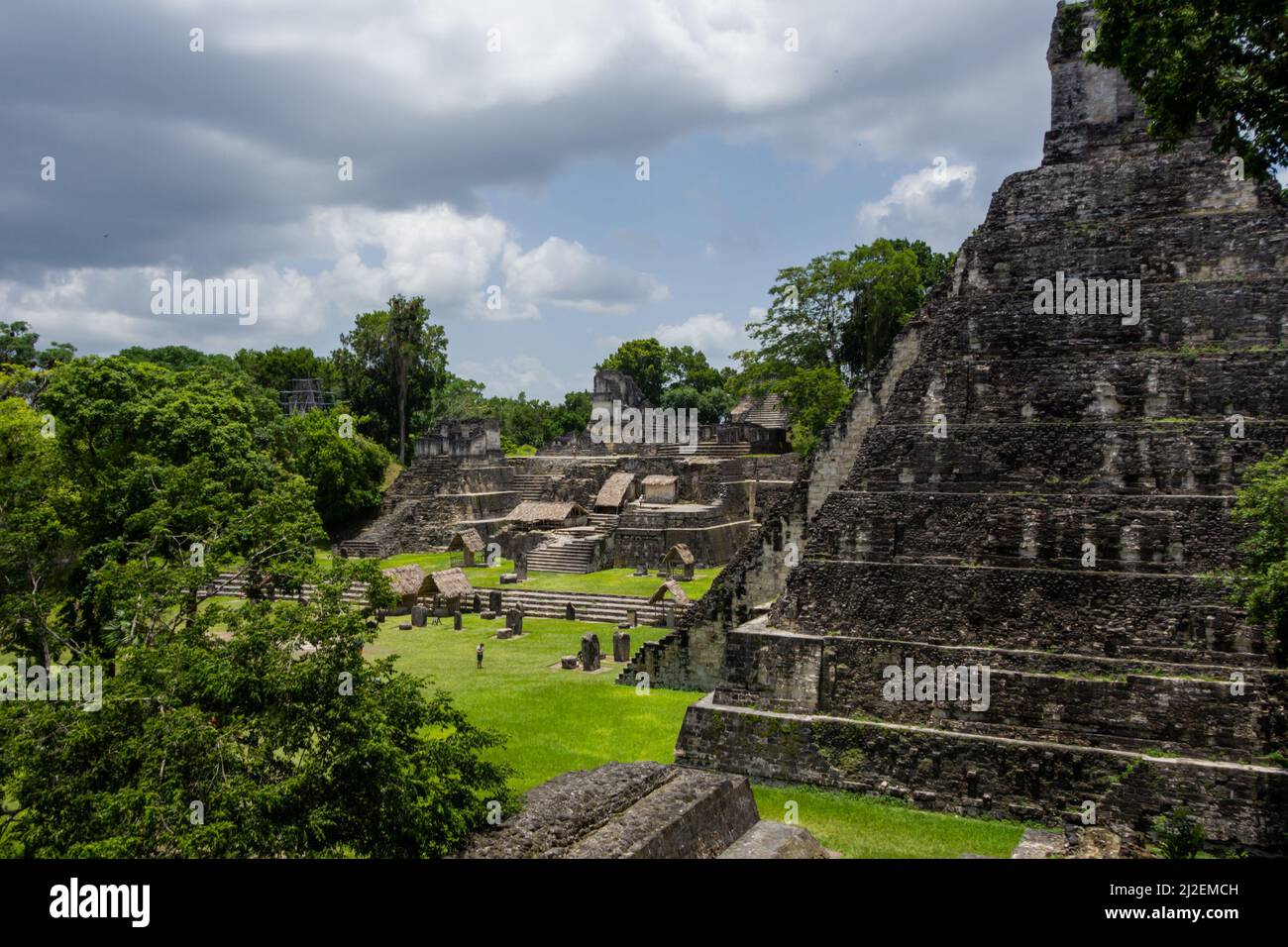 Tikal Mayan temple ruins, Guatemala Stock Photo - Alamy