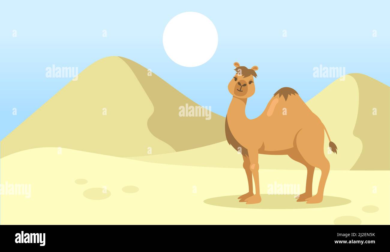 Cute one hump camel walking in desert. Wild dromedary animal cartoon ...