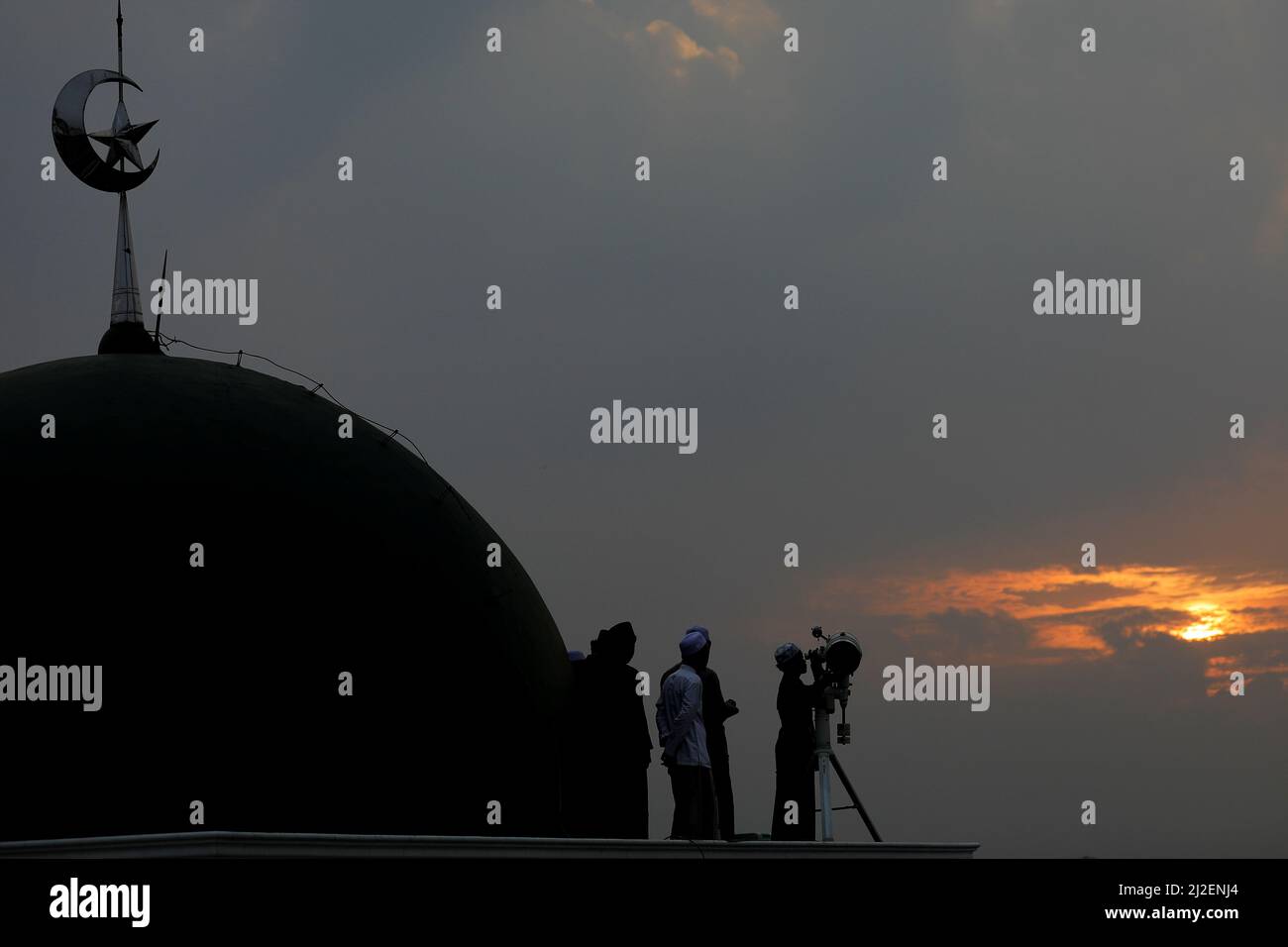 Willy moon hi-res stock photography and images - Alamy