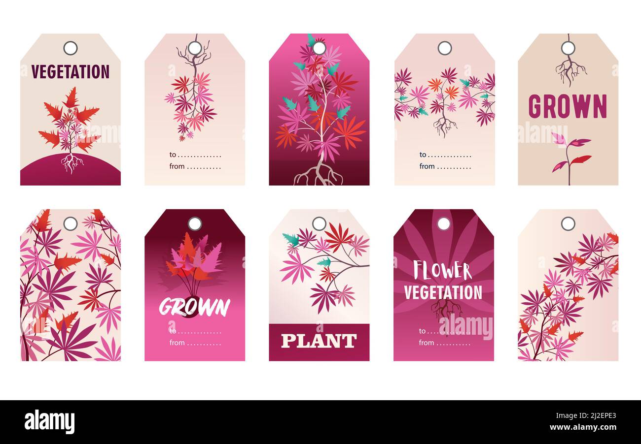 Promotional pink tag designs with hemp plant. Colorful cannabis leaves ...