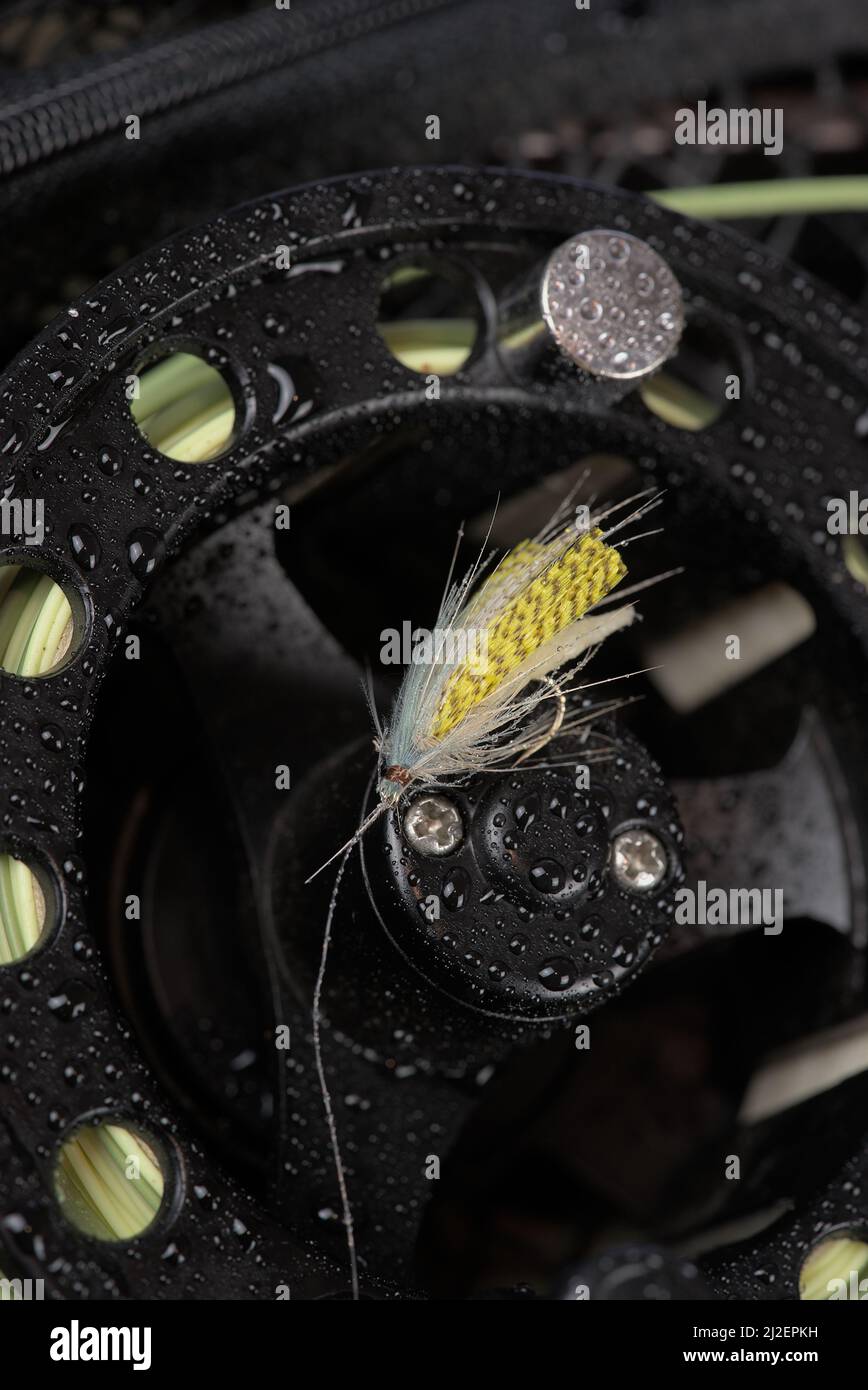 May fly hi-res stock photography and images - Alamy