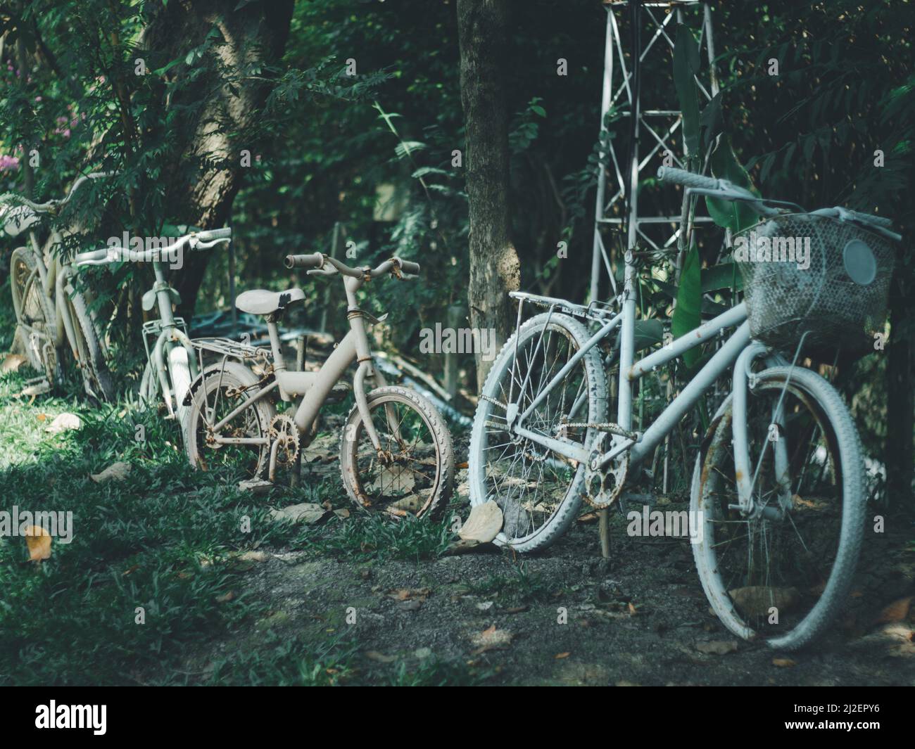 Several old bicycles are parked in the park Stock Photo - Alamy