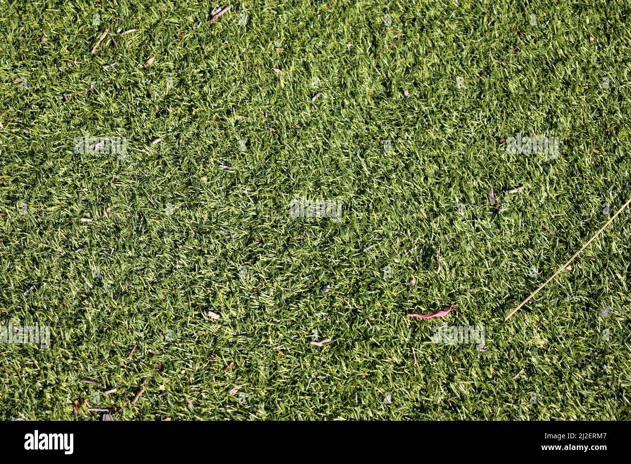 A top view of the green artificial turf Stock Photo - Alamy